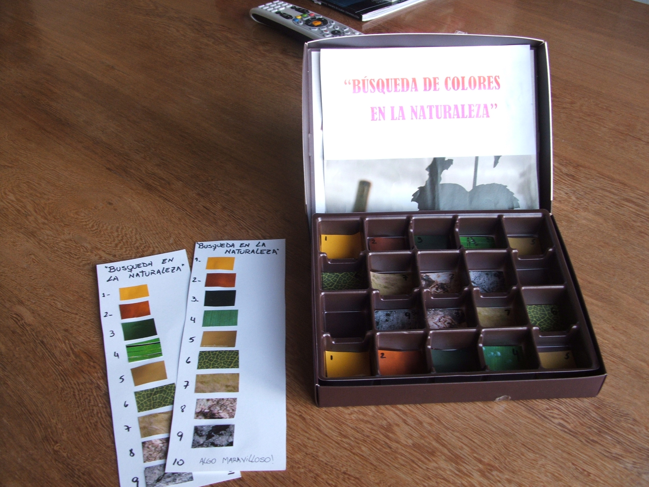 De colores se visten los campos en la primavera. Búsqueda de tesoros ...